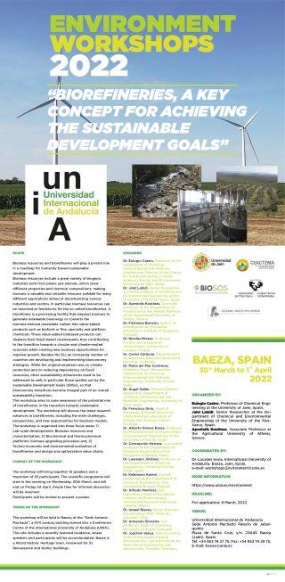 BIOREFINERIES, A KEY CONCEPT FOR ACHIEVING THE SUSTAINABLE DEVELOPMENT ...