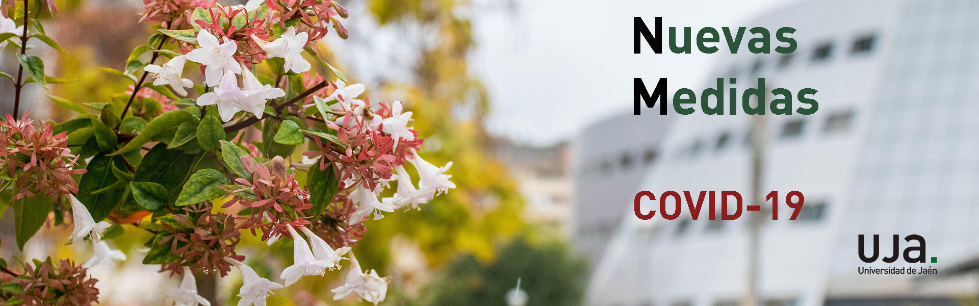 Home | University of Jaén